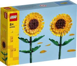 DUPLO Appel (Polybag) (DUPLO 30068) | 5702015124980 | BRICKshop - LEGO ...